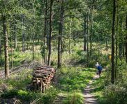Veranstaltungen - Steigerwald Tourismus