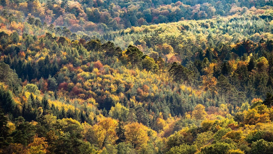 Naturpark - Steigerwald Tourismus