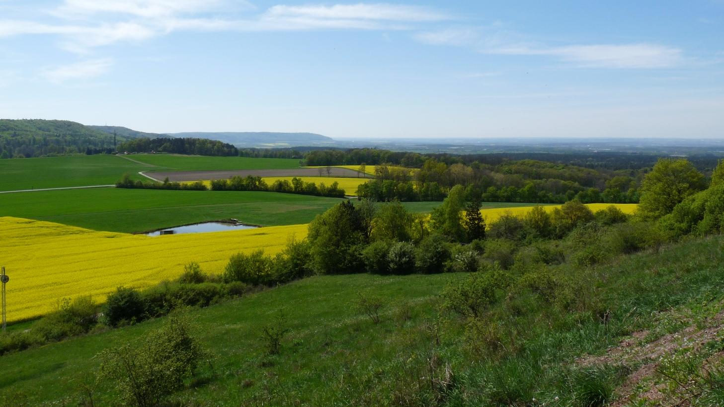Geiselwind - Naturpark Steigerwald e.V.